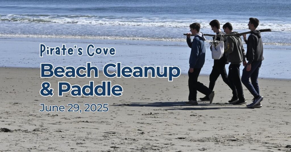 Beach Cleanup – SEACOAST PADDLEBOARD CLUB