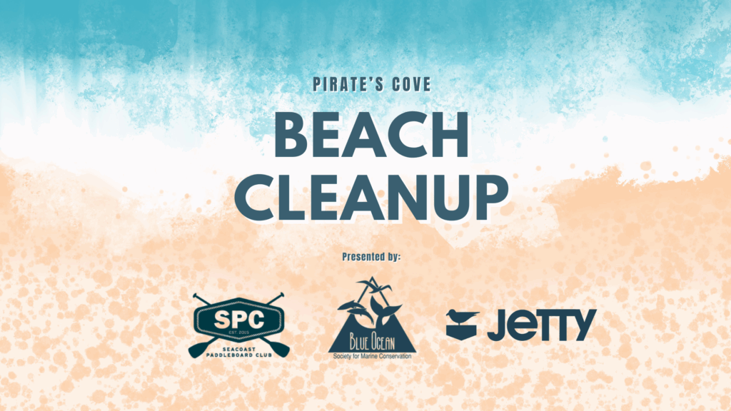 Beach Cleanup & Paddle – SEACOAST PADDLEBOARD CLUB